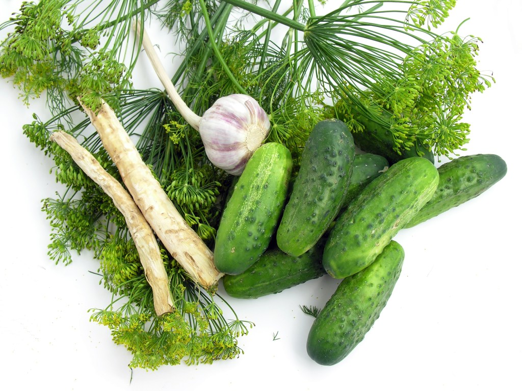 Perfect Pickles Start Here: Choosing the Best Ingredients - Basil ...